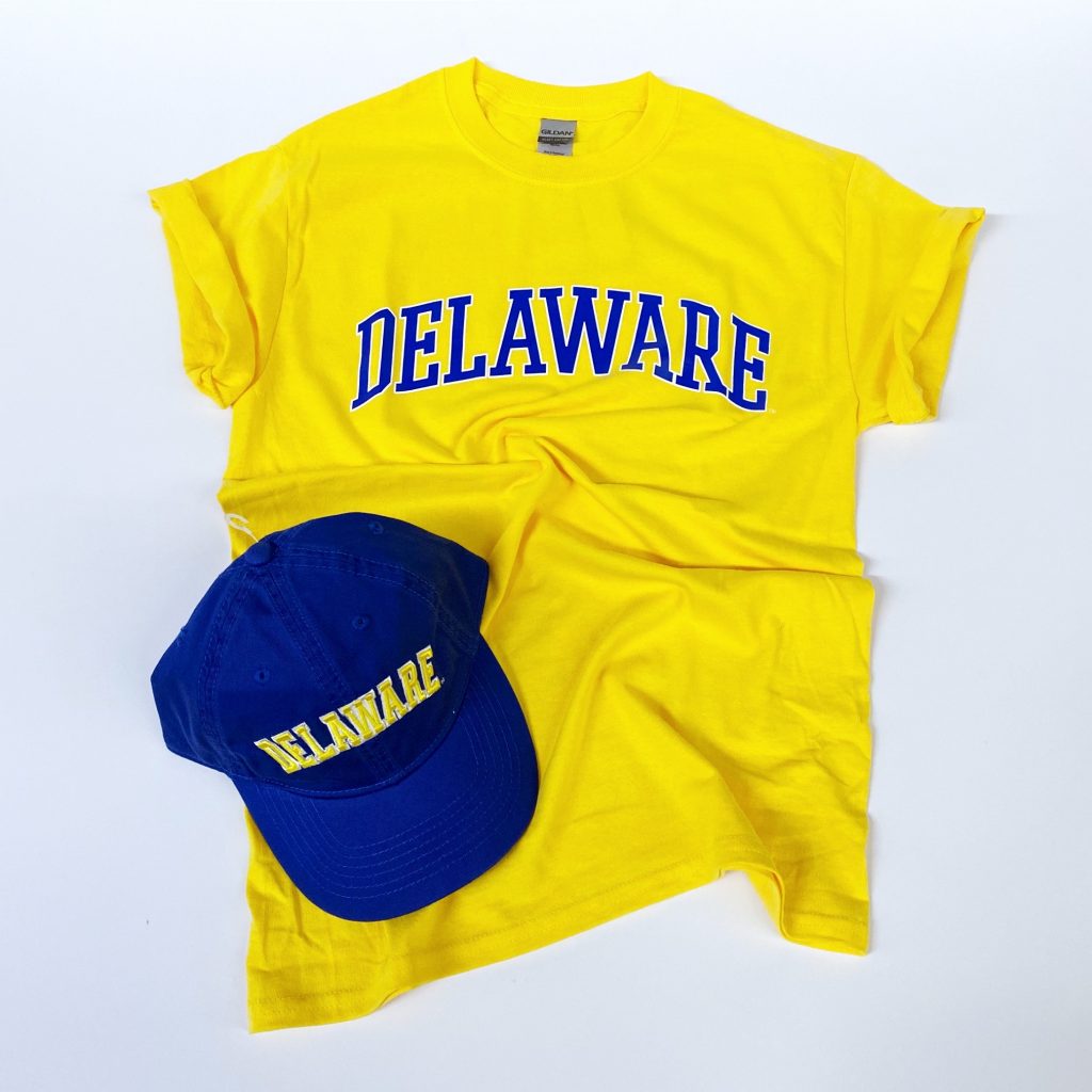 University of Delaware Dad T-shirt – Oxford – National 5 and 10