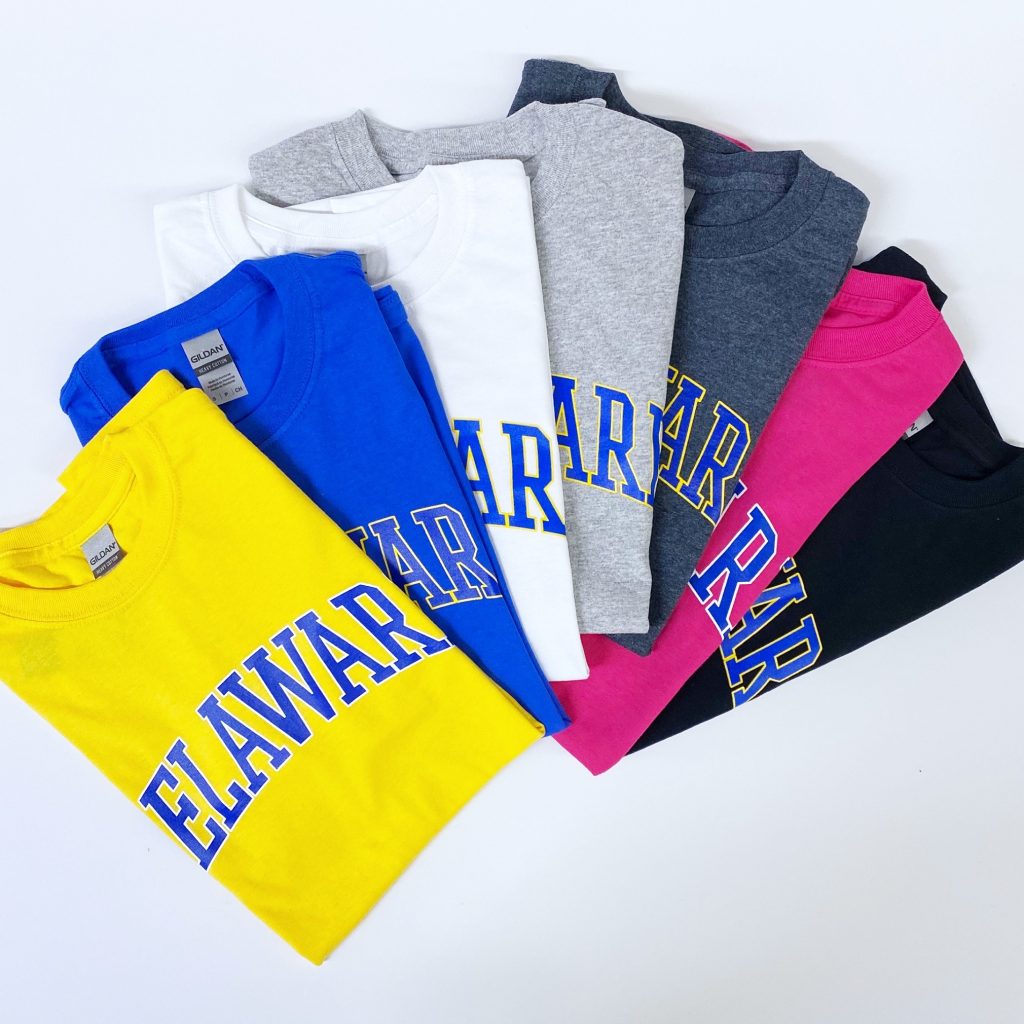 University of Delaware Arched Delaware T-shirt – Black – National 5 and 10