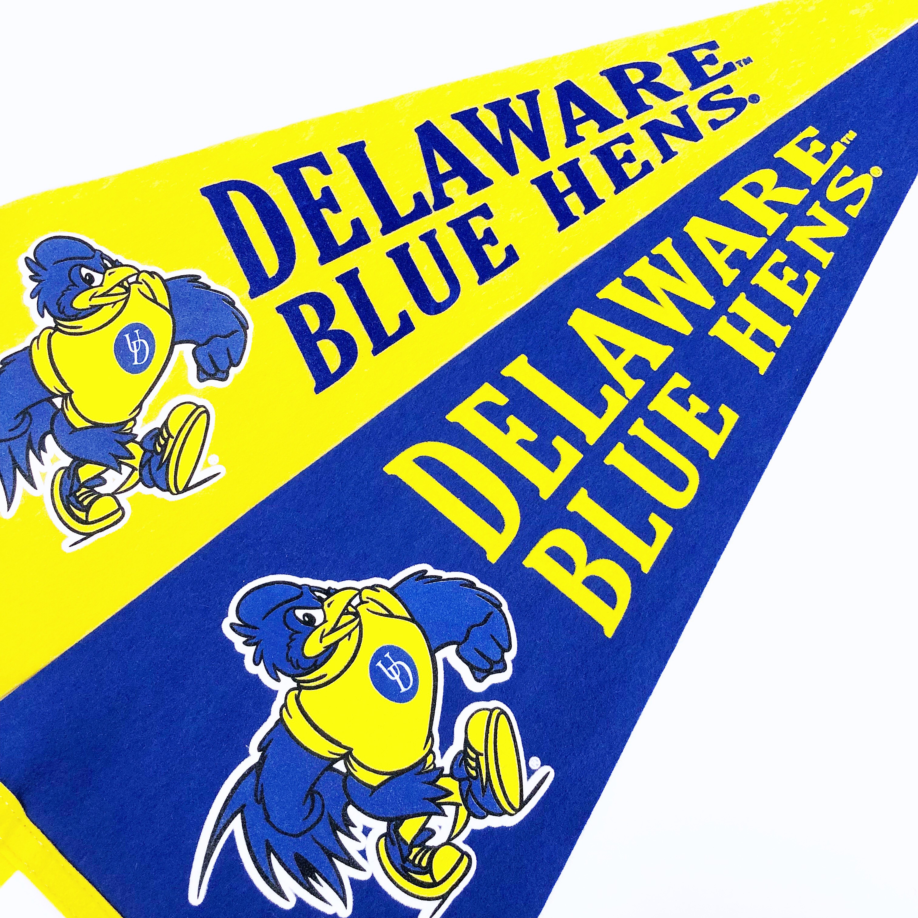 University of Delaware 12″ x 28″ Struttin’ YoUDee Pennant – National 5 ...