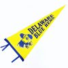 University of Delaware 12″ x 28″ Struttin’ YoUDee Pennant – National 5 ...