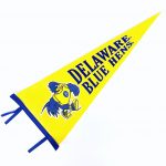 University of Delaware 12″ x 28″ Struttin’ YoUDee Pennant – National 5 ...