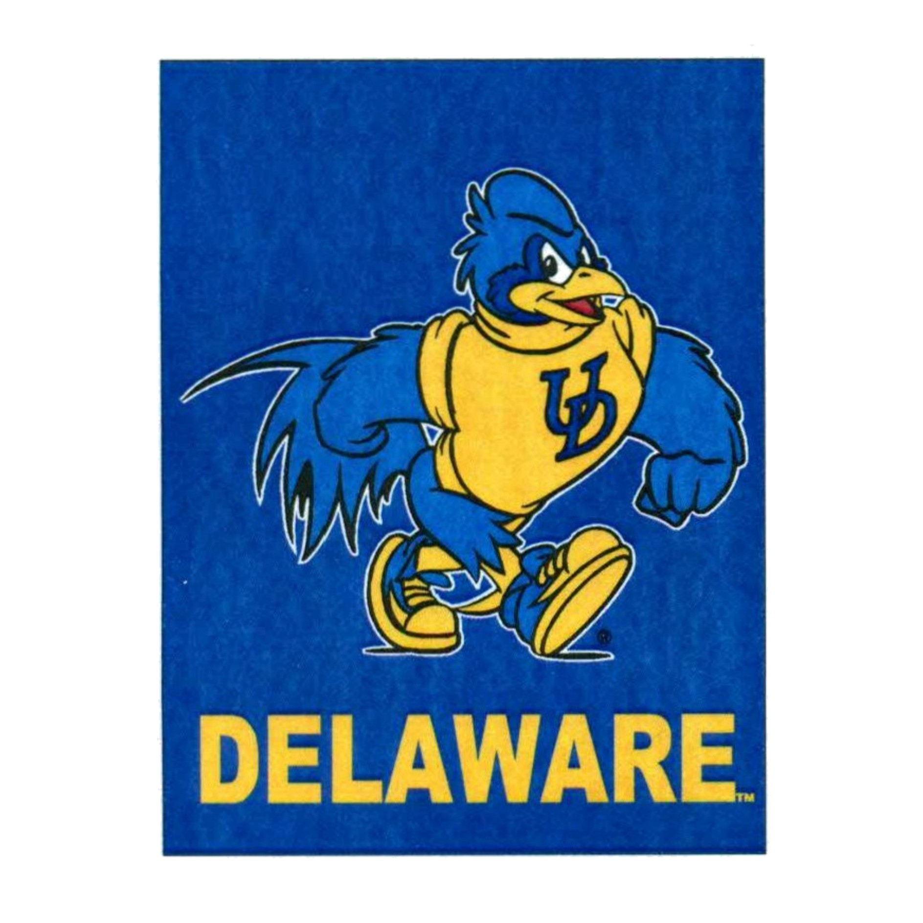 University of Delaware 30″ x 40″ Struttin’ YoUDee Banner – National 5 ...