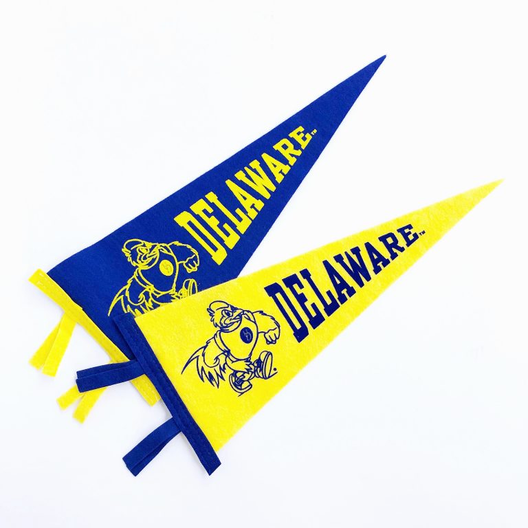 University of Delaware Word Mark Logo Flag – Royal – National 5 and 10