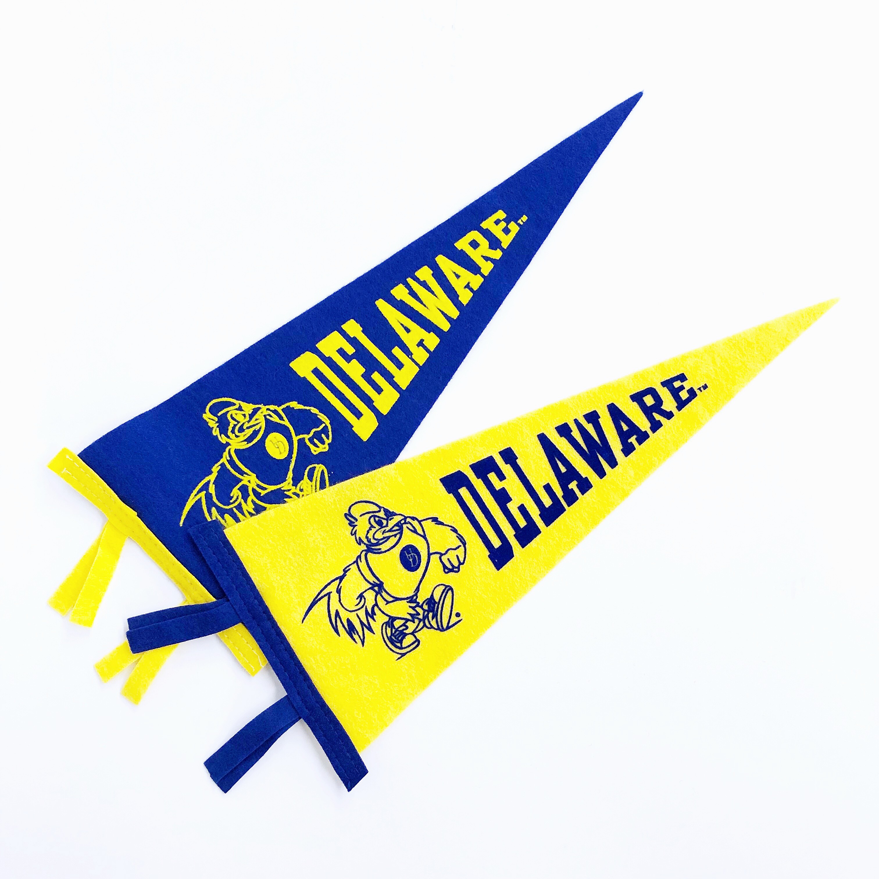 University of Delaware 6″ x 15″ Retro Struttin’ YoUDee Pennant ...