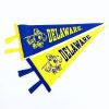 University of Delaware 12″ x 28″ Struttin’ YoUDee Pennant – National 5 ...