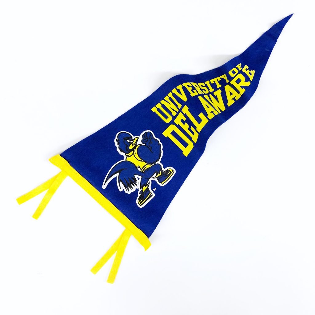 University of Delaware 12″ x 28″ Struttin’ YoUDee Pennant – National 5 ...