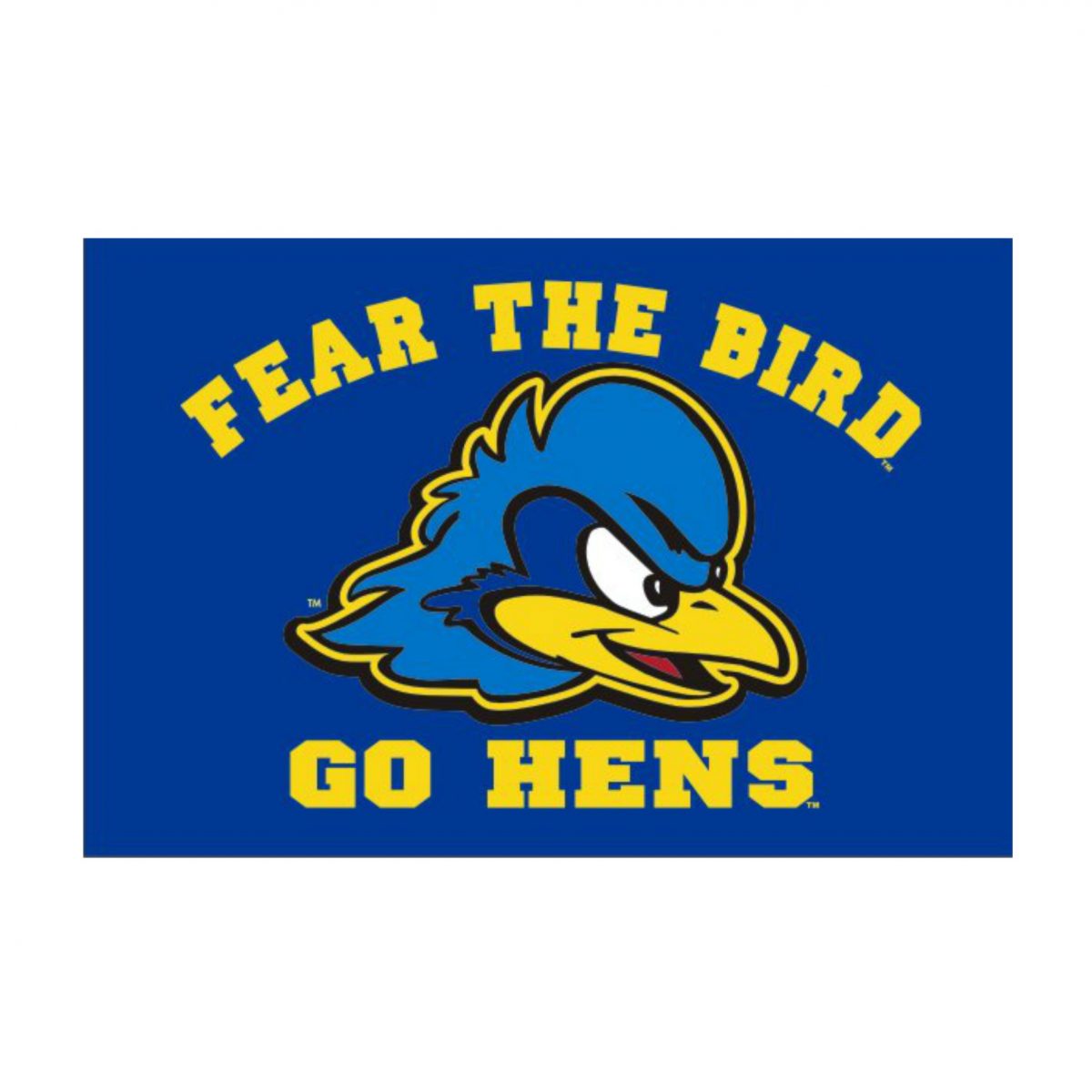 University of Delaware 30″ x 40″ Struttin’ YoUDee Banner – National 5 ...