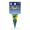 University of Delaware 12″ x 28″ Struttin’ YoUDee Pennant – National 5 ...