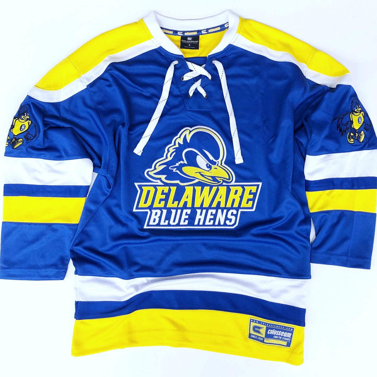 University of Delaware Ice Hockey Jersey – National 5 and 10