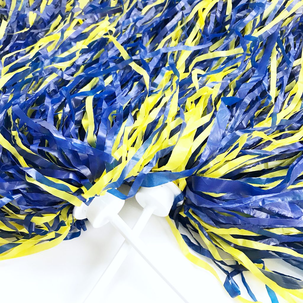 University of Delaware Blue and Yellow Spirit Pom-Pom – National 5 and 10