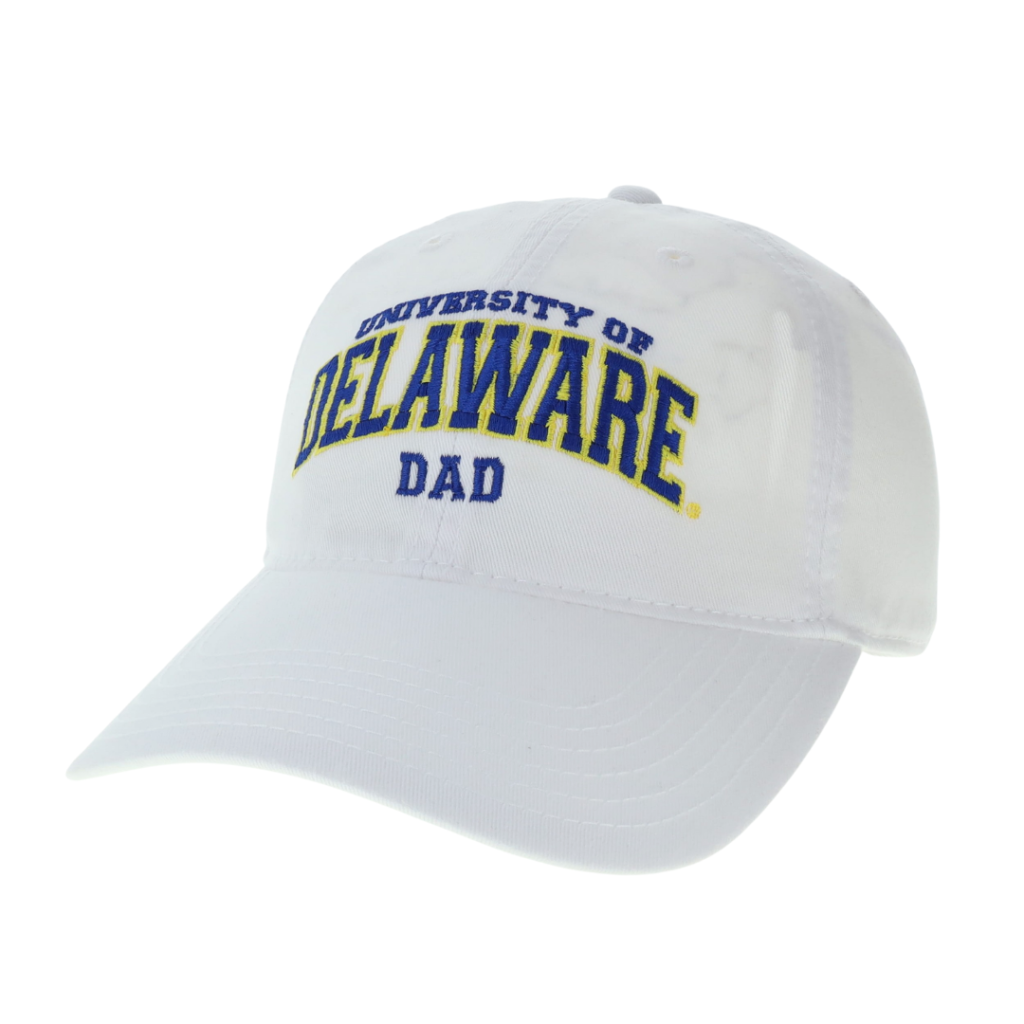 University of Delaware Arched Delaware Hat – Grey – National 5 and 10