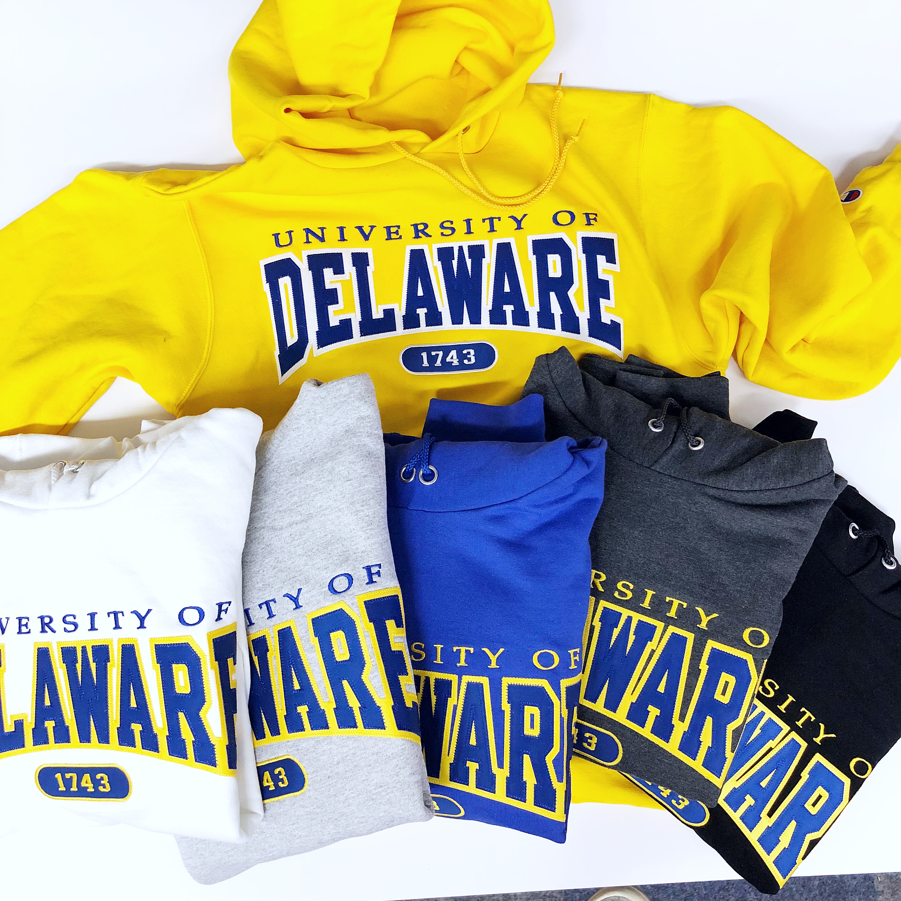 University of Delaware Champion 1743 Hoodie Sweatshirt – National 5 and 10