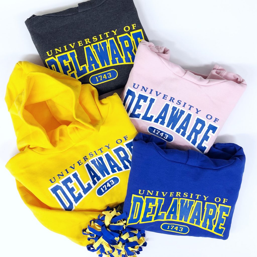 University of Delaware Champion 1743 Hoodie Sweatshirt – National 5 and 10