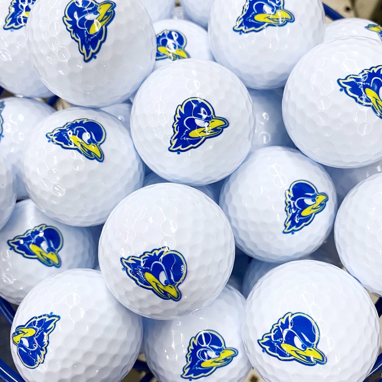 University of Delaware Golf Ball – National 5 and 10