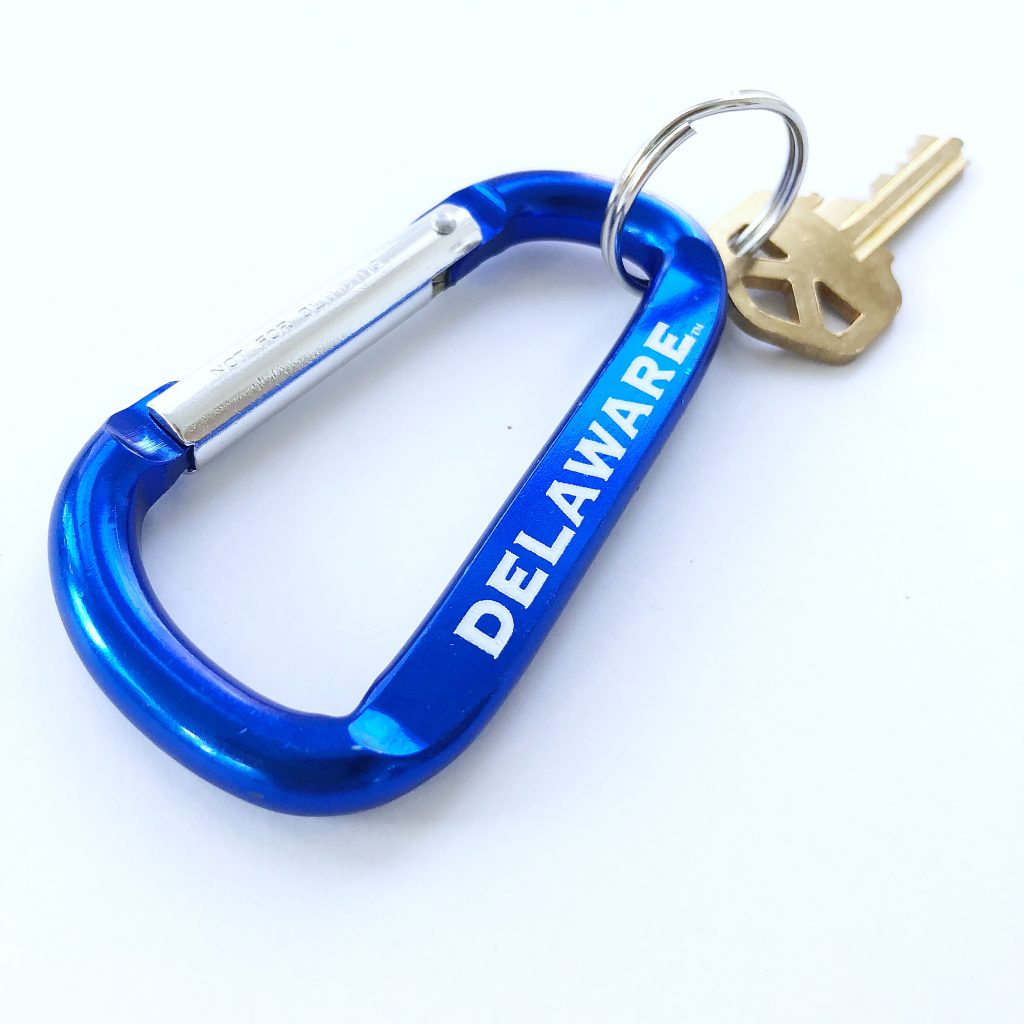 University of Delaware Carabiner Keychain – National 5 and 10