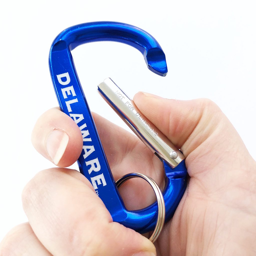 University of Delaware Carabiner Keychain – National 5 and 10