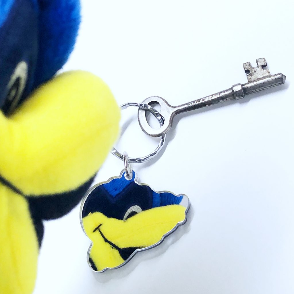University of Delaware Retro Logo Breakaway Key Chain Lanyard ...