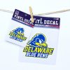 University of Delaware Alumni Decal – National 5 and 10