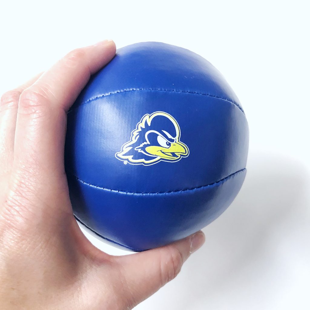 University of Delaware 4″ Plush Ball – National 5 and 10