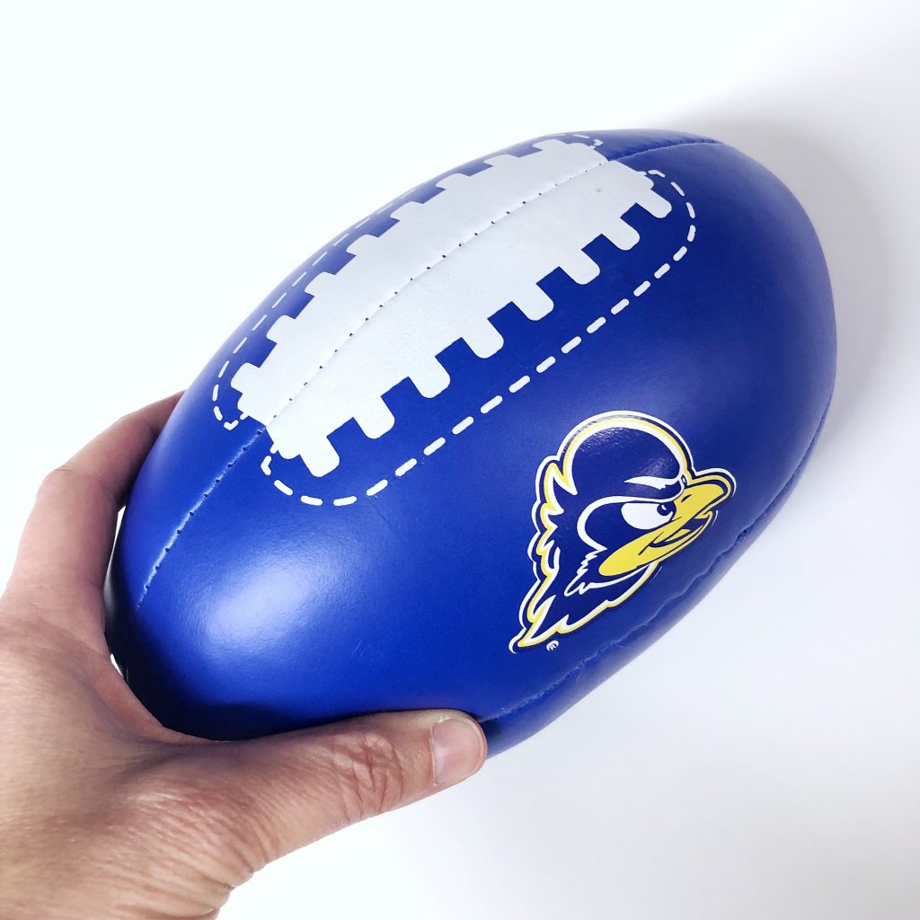 University of Delaware Plush Football – National 5 and 10