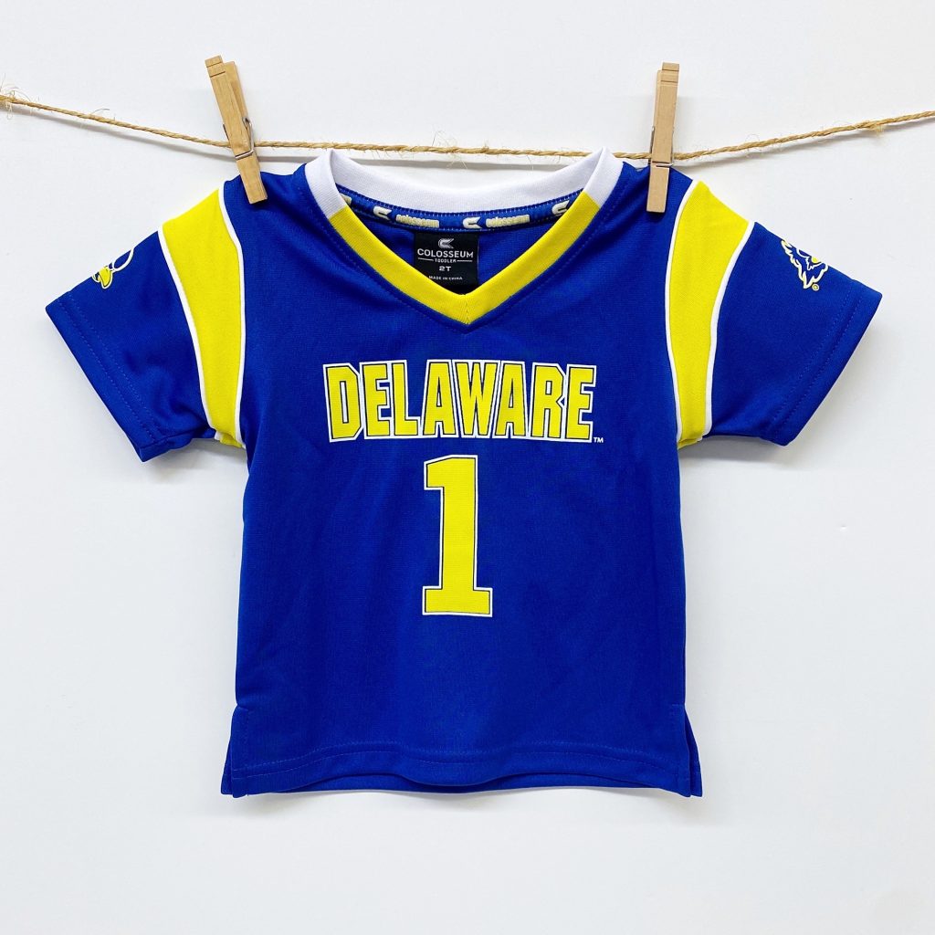 University of Delaware YoUDee Plush Doll – National 5 and 10