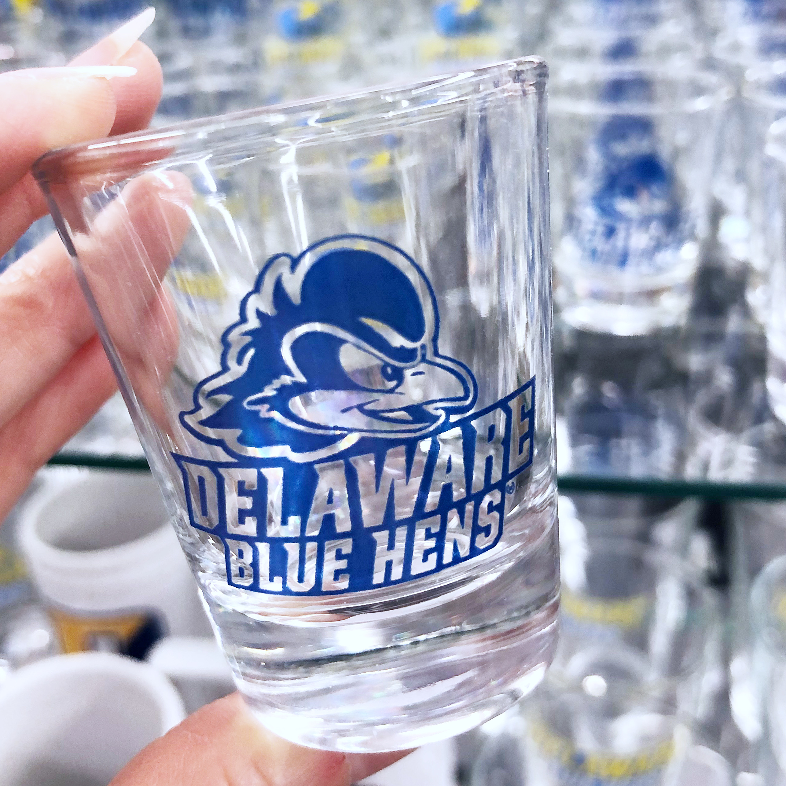 University of Delaware Instant Shot Glass Collection – National 5 and 10