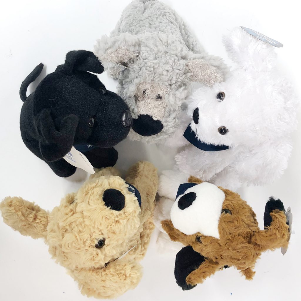 University of Delaware Plush Puppies – National 5 and 10