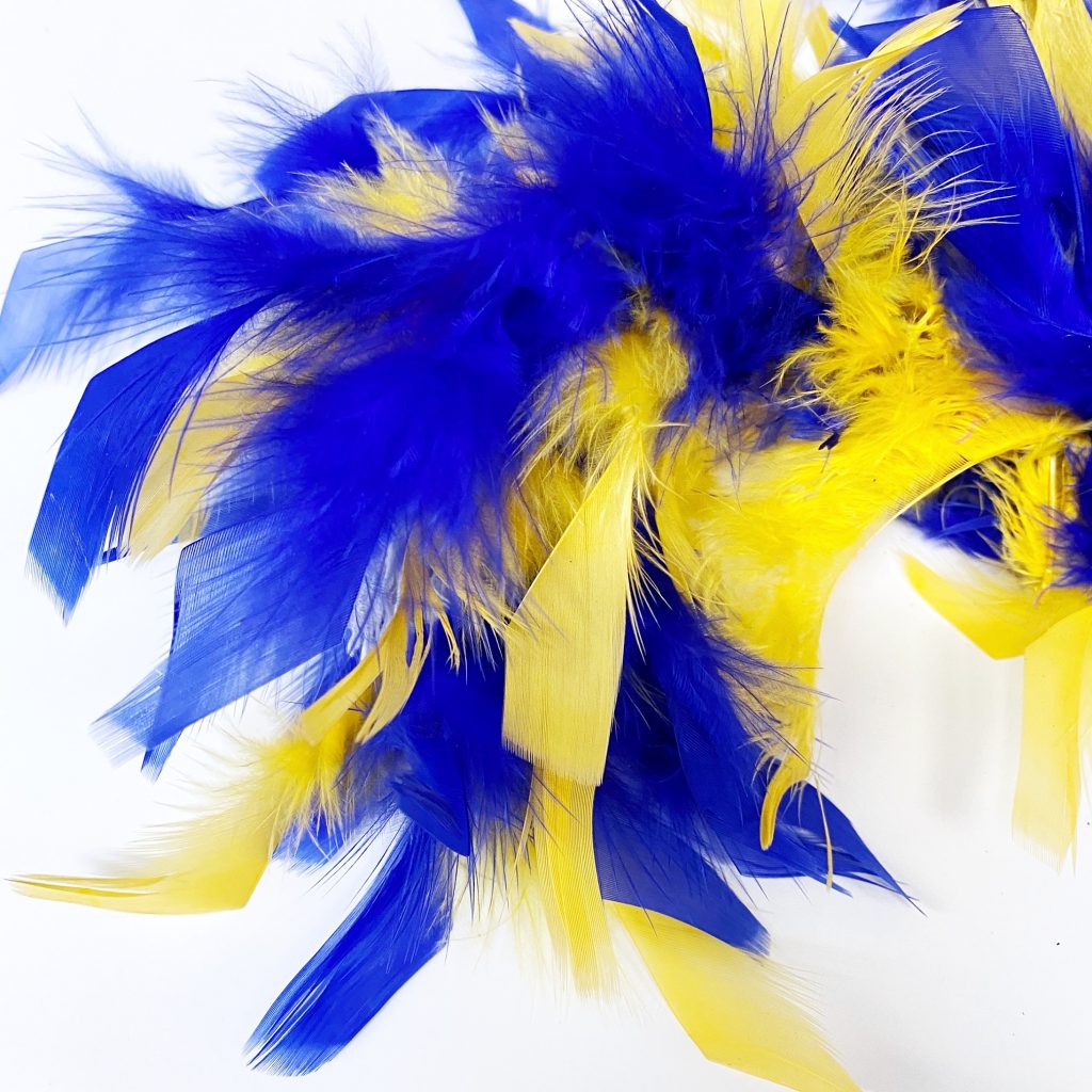 University of Delaware Blue and Yellow Feather Boa – National 5 and 10