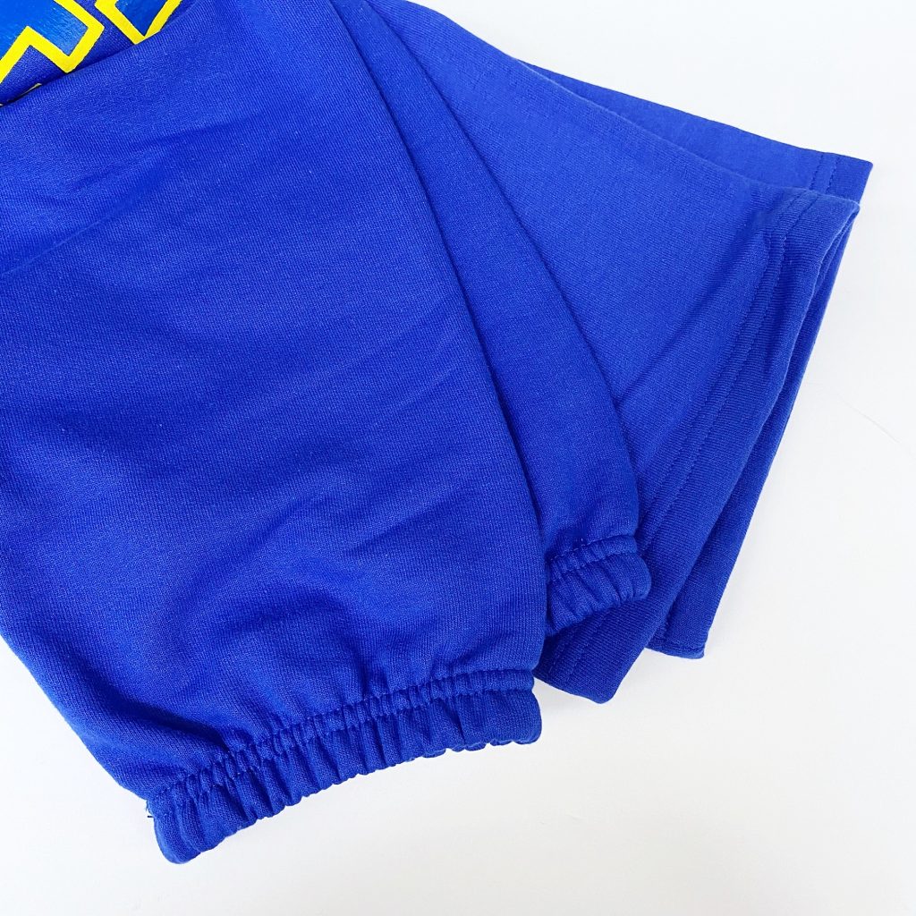 University of Delaware Champion Big Delaware Sweatpants – Royal ...