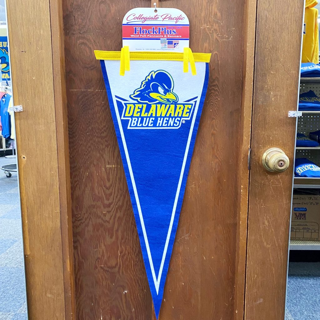 University of Delaware 12″ x 28″ Struttin’ YoUDee Pennant – National 5 ...