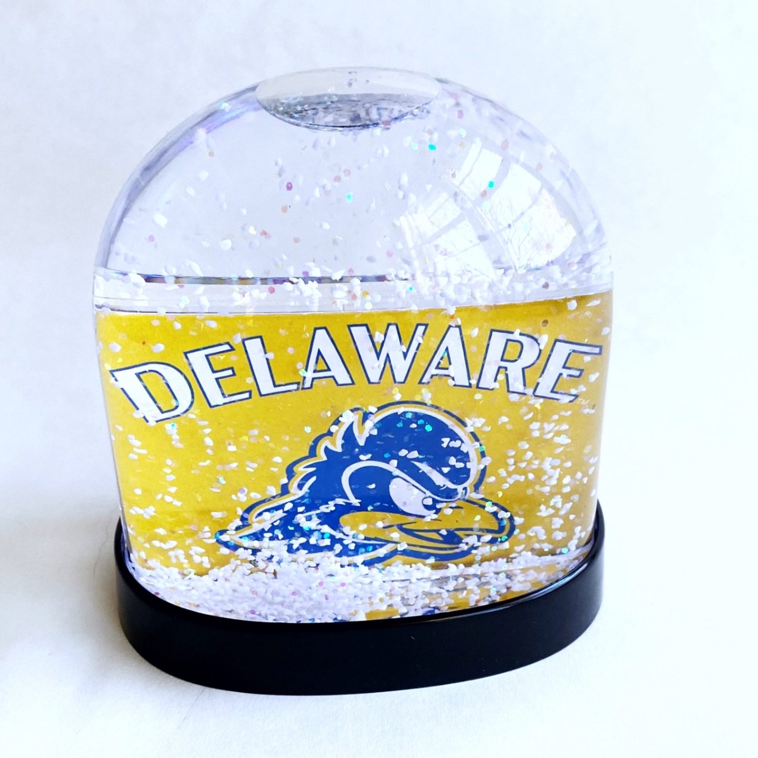 University of Delaware Snow Globe – National 5 and 10