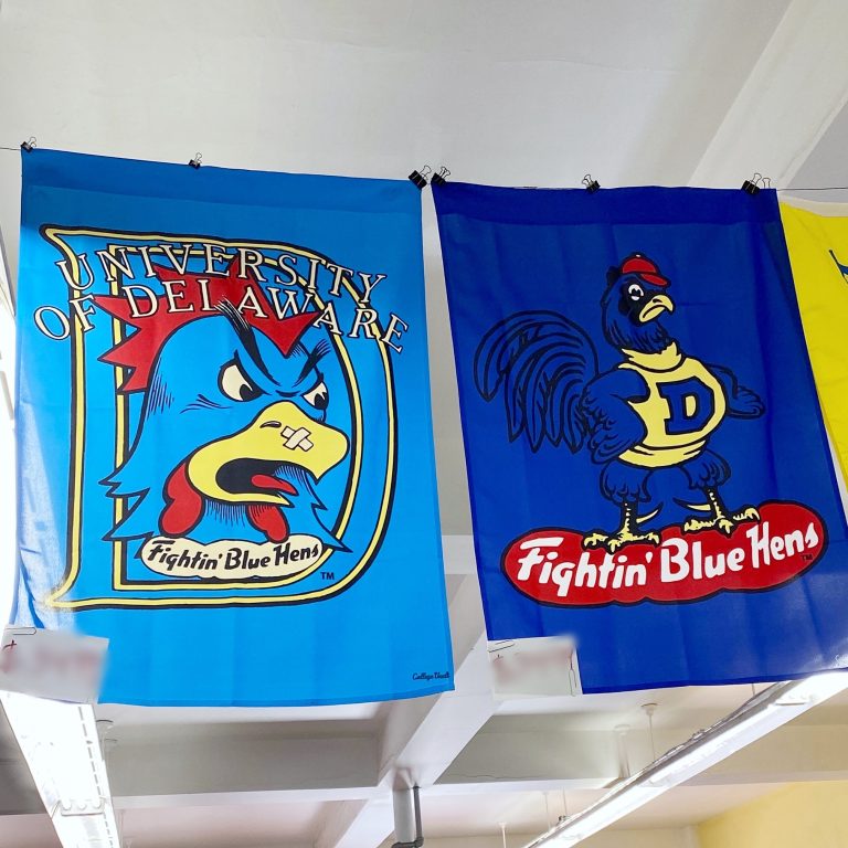University of Delaware 12″ x 28″ Struttin’ YoUDee Pennant – National 5 ...