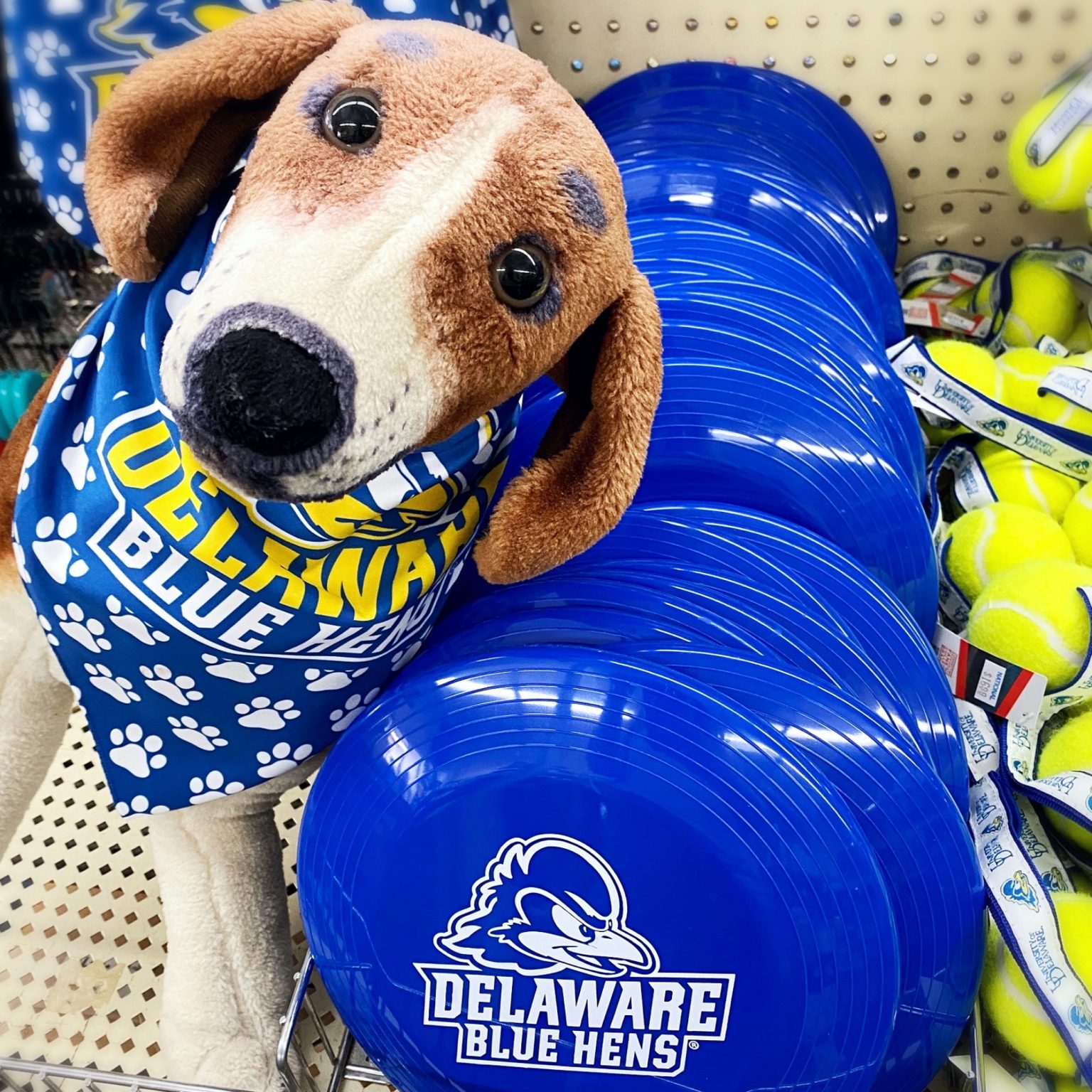 University of Delaware Logo Frisbee – National 5 and 10