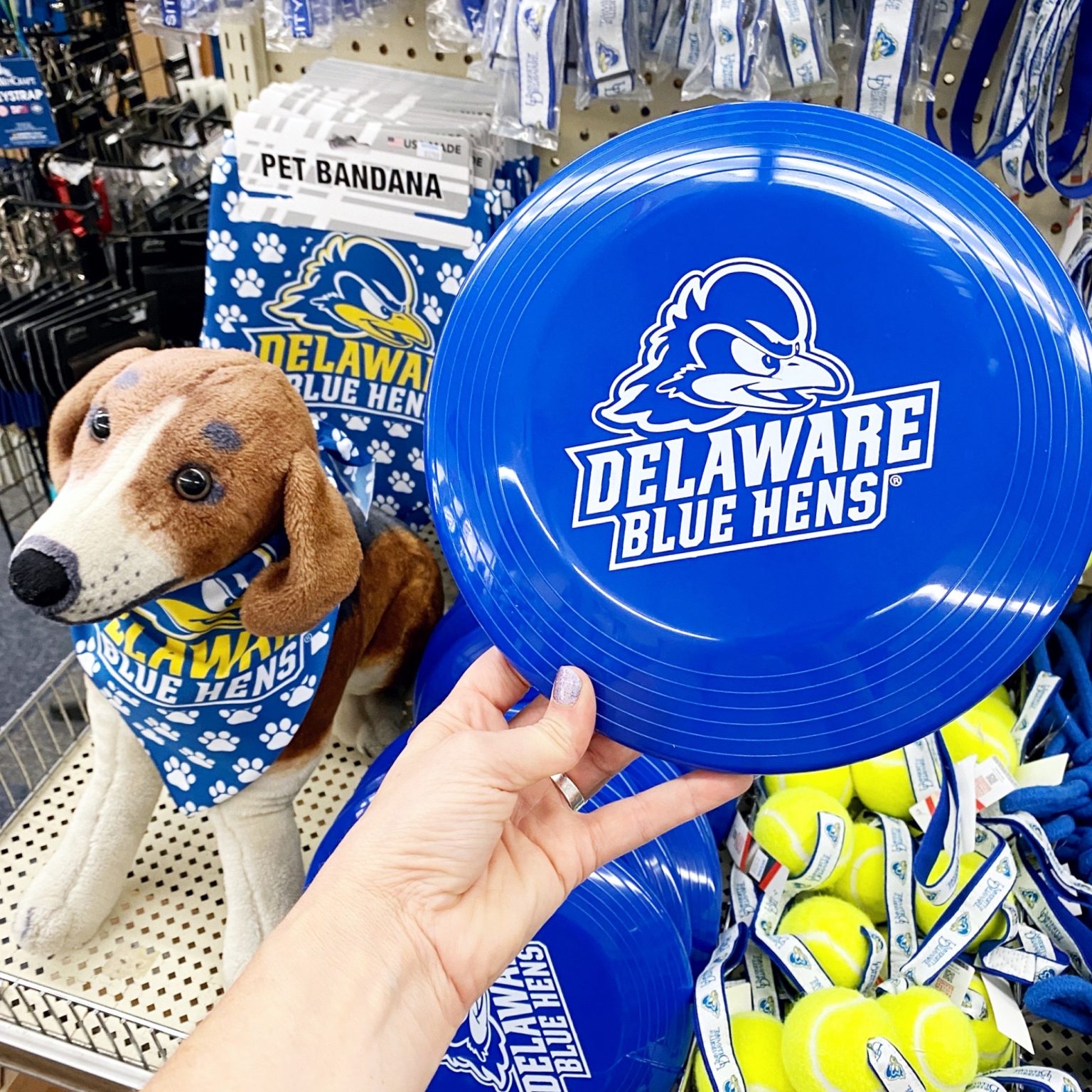 University of Delaware Logo Frisbee – National 5 and 10