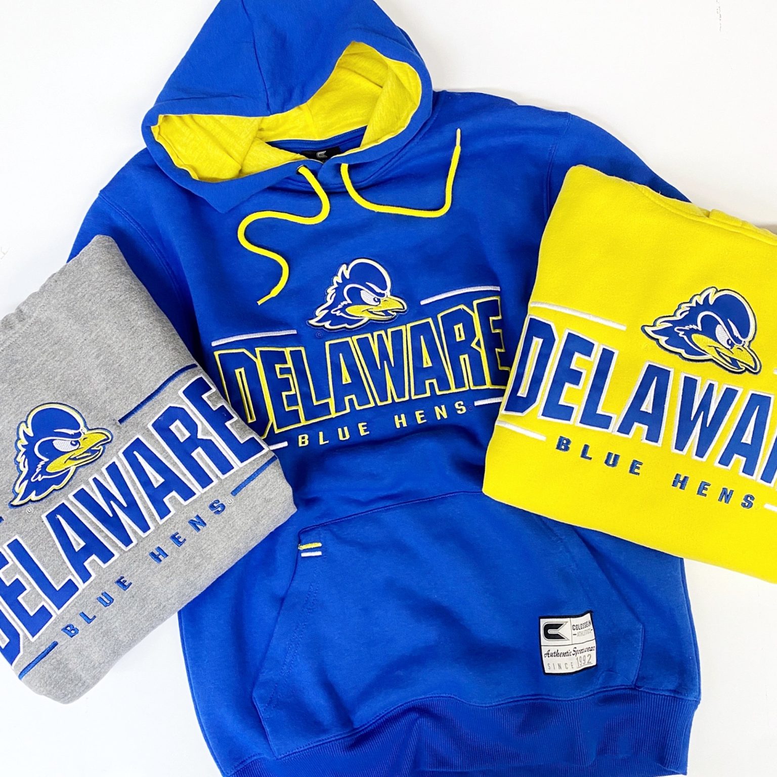 University of Delaware 3-Color Bird Crew Neck Sweatshirt – National 5 ...